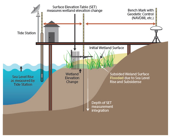 From Big Data to Big Picture…An Introduction to Sentinel Sites – NERRds ...